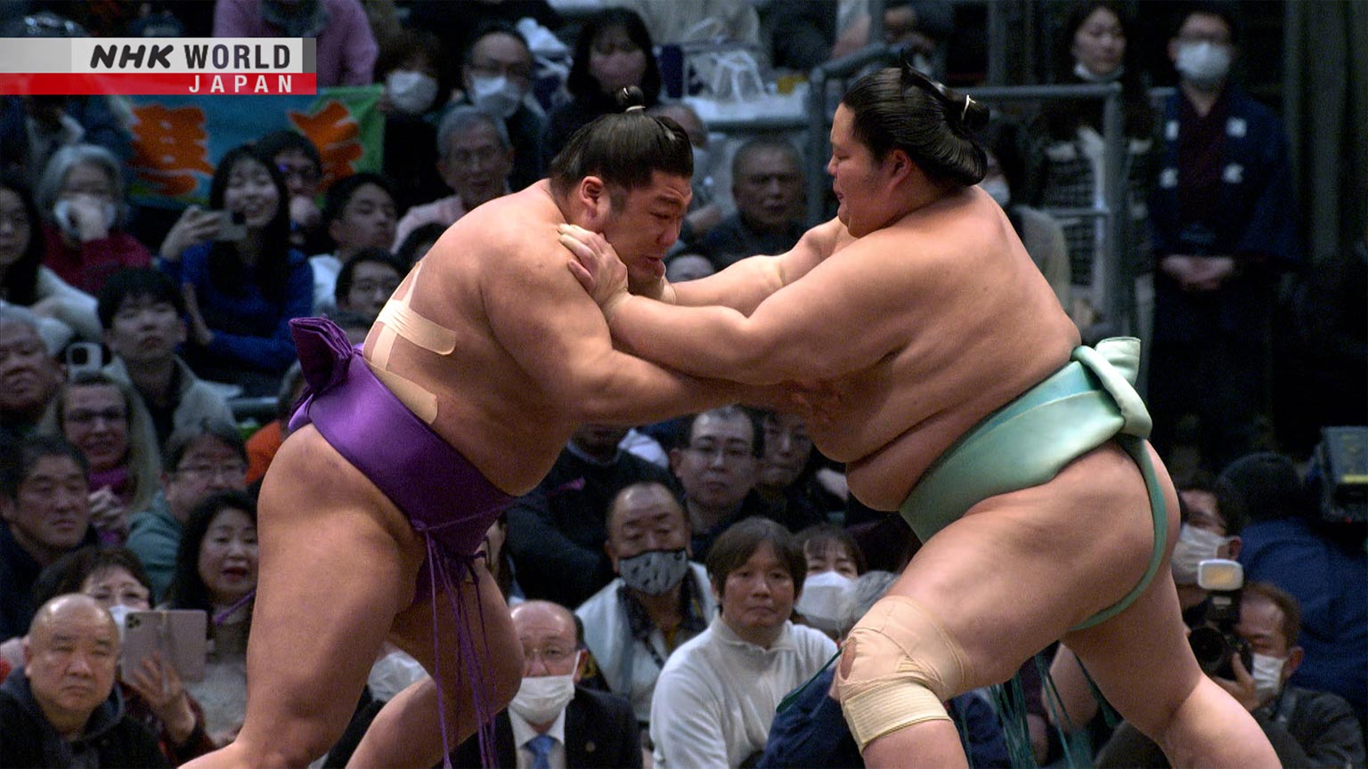 Japanese Sumo Wrestling