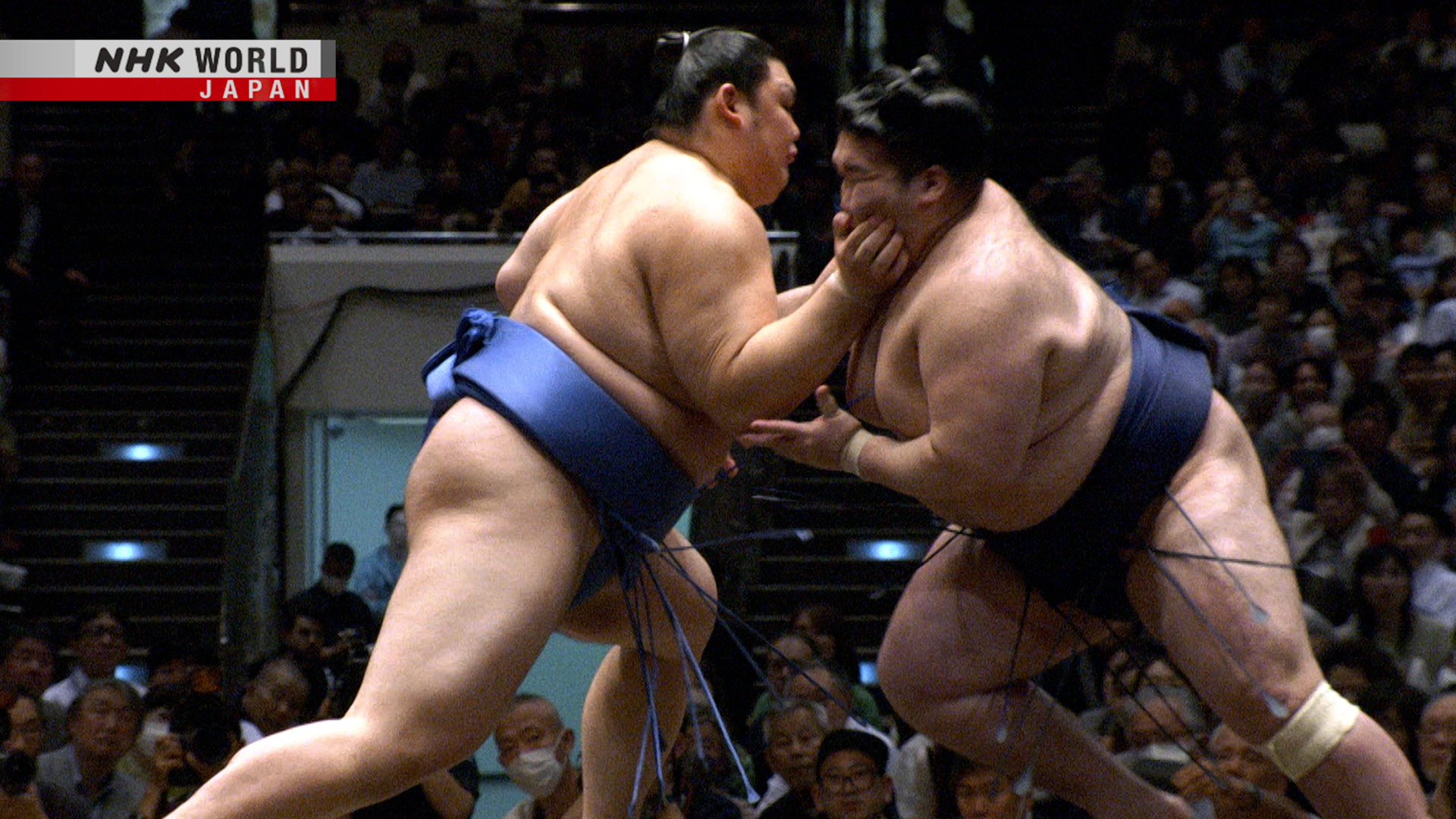 GRAND SUMO Highlights at Japan House London Nov 2024 – Japan House London